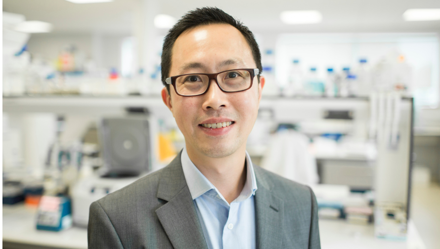 Cytomegalovirus (CMV) appeal - Research | Action Medical Research